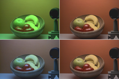 Computational Vision Lab