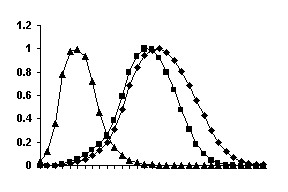 Computational Vision Lab