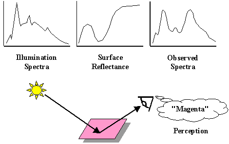 Computational Vision Lab