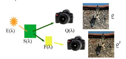 CMPT828 Illumination in Images and Video